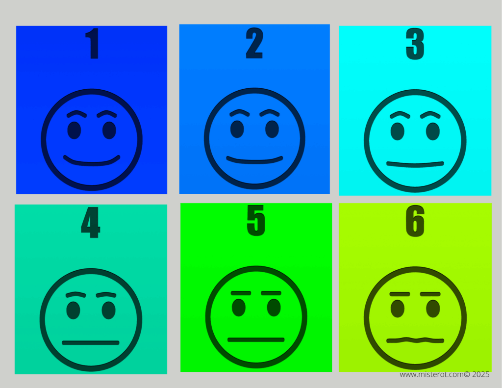 Sensory/Emotional Regulation